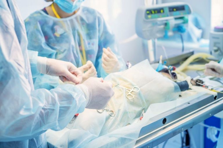 Why You Should Spay Your Dog (and after spay care) | Dr. Marty