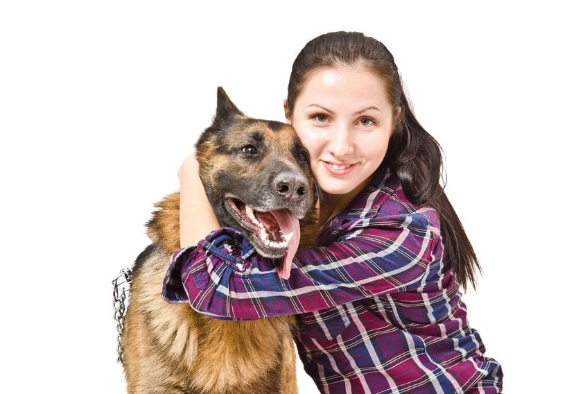 Play This Game for a Sharper Dog (they'll love it!) | Dr. Marty Pets