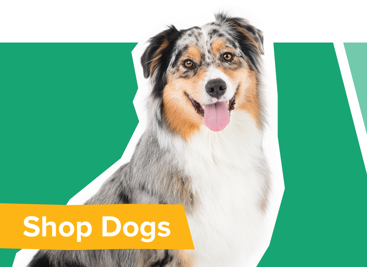 Dr. Marty Pets Dog and Cat Food | Premium Freeze Dried Raw Pet Food