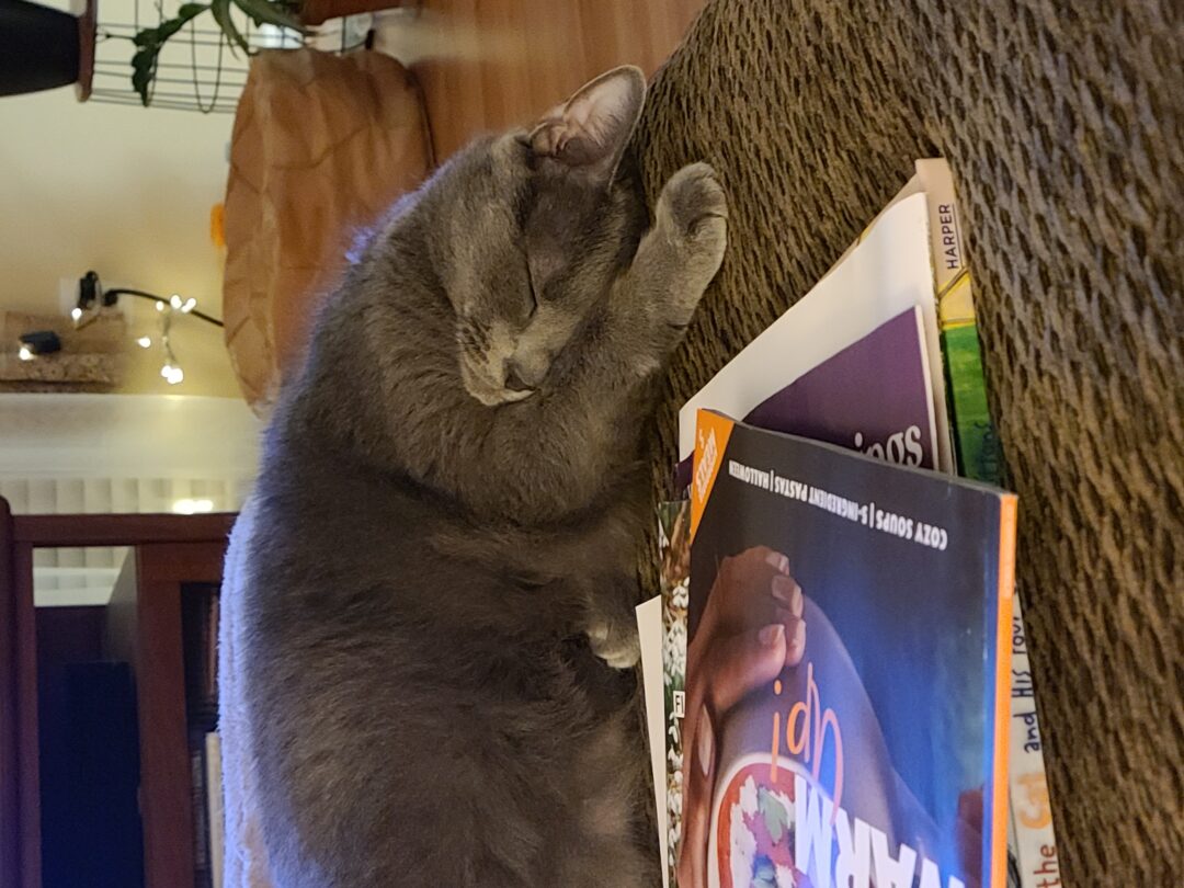 Nature's Feast | Natures Feast | Dr Marty Cat Food