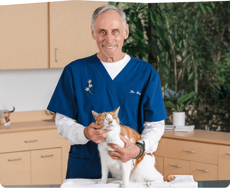 Contact Dr Marty Pets